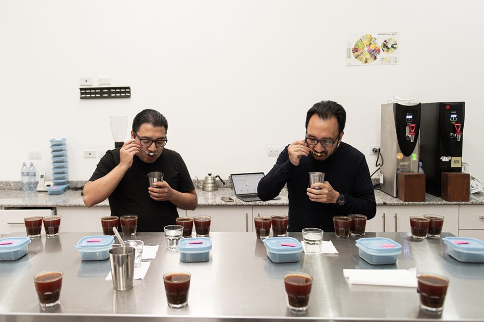 Meet Prisma Coffee | Melbourne Coffee Merchants