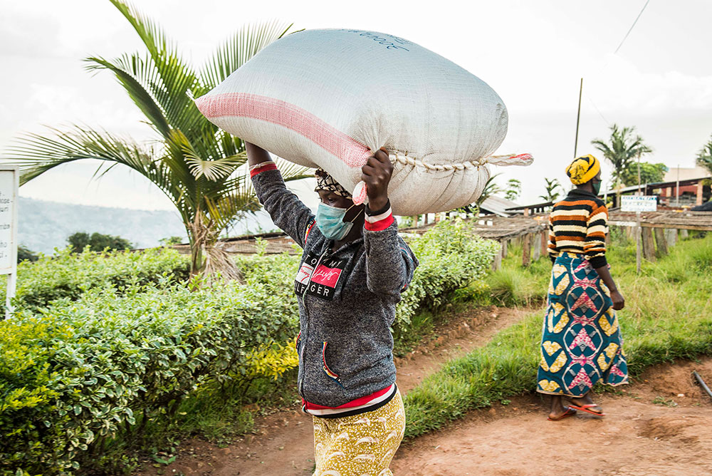 Ruli | Melbourne Coffee Merchants