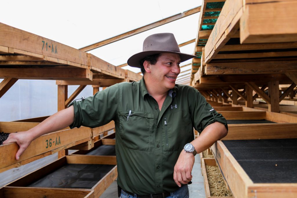 Santa Clara (Erecta) | Melbourne Coffee Merchants