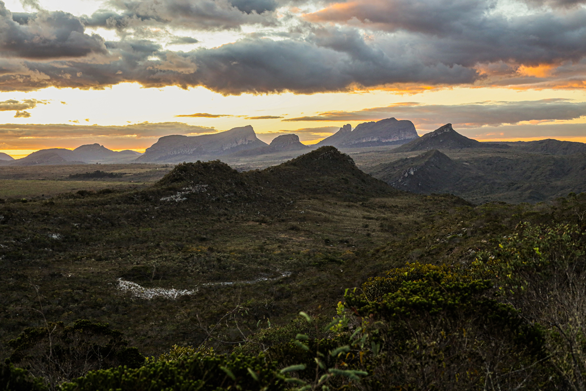 Piata-Mountains | Melbourne Coffee Merchants