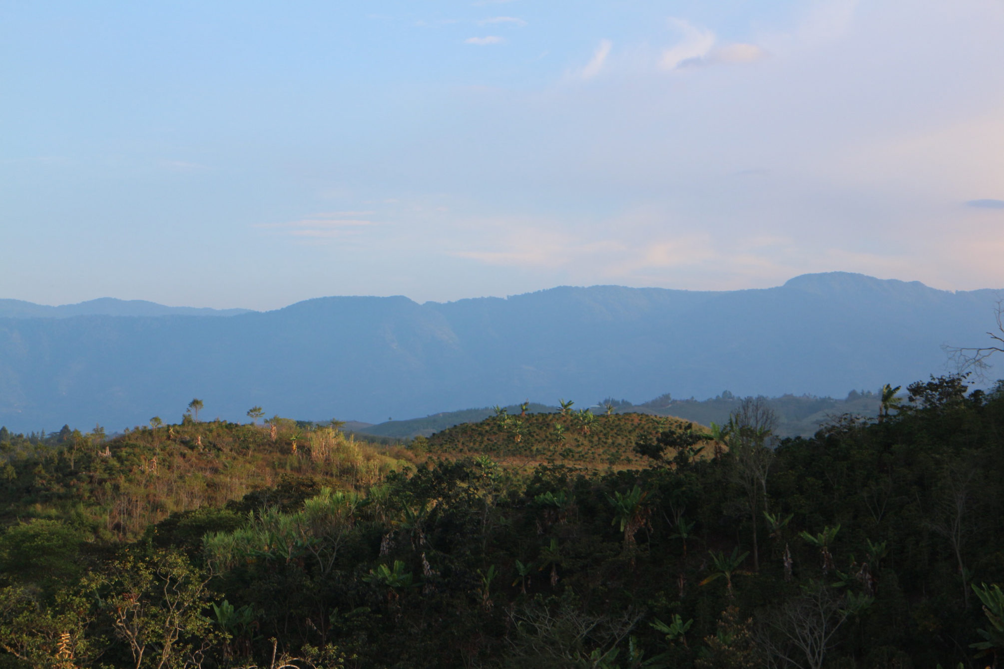 La Loma | Melbourne Coffee Merchants