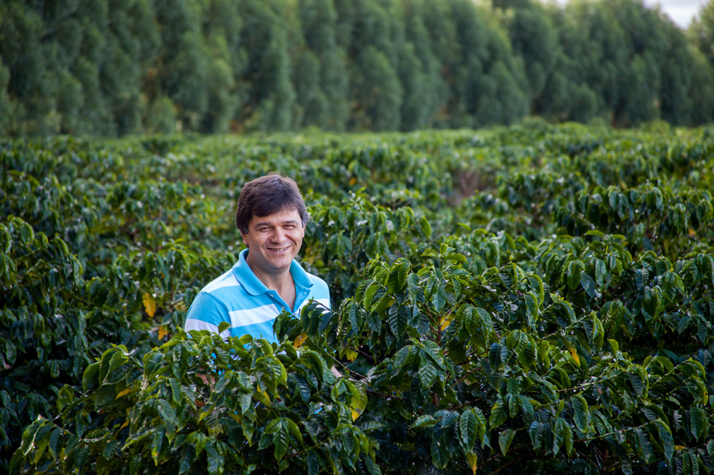 Brazil | Melbourne Coffee Merchants