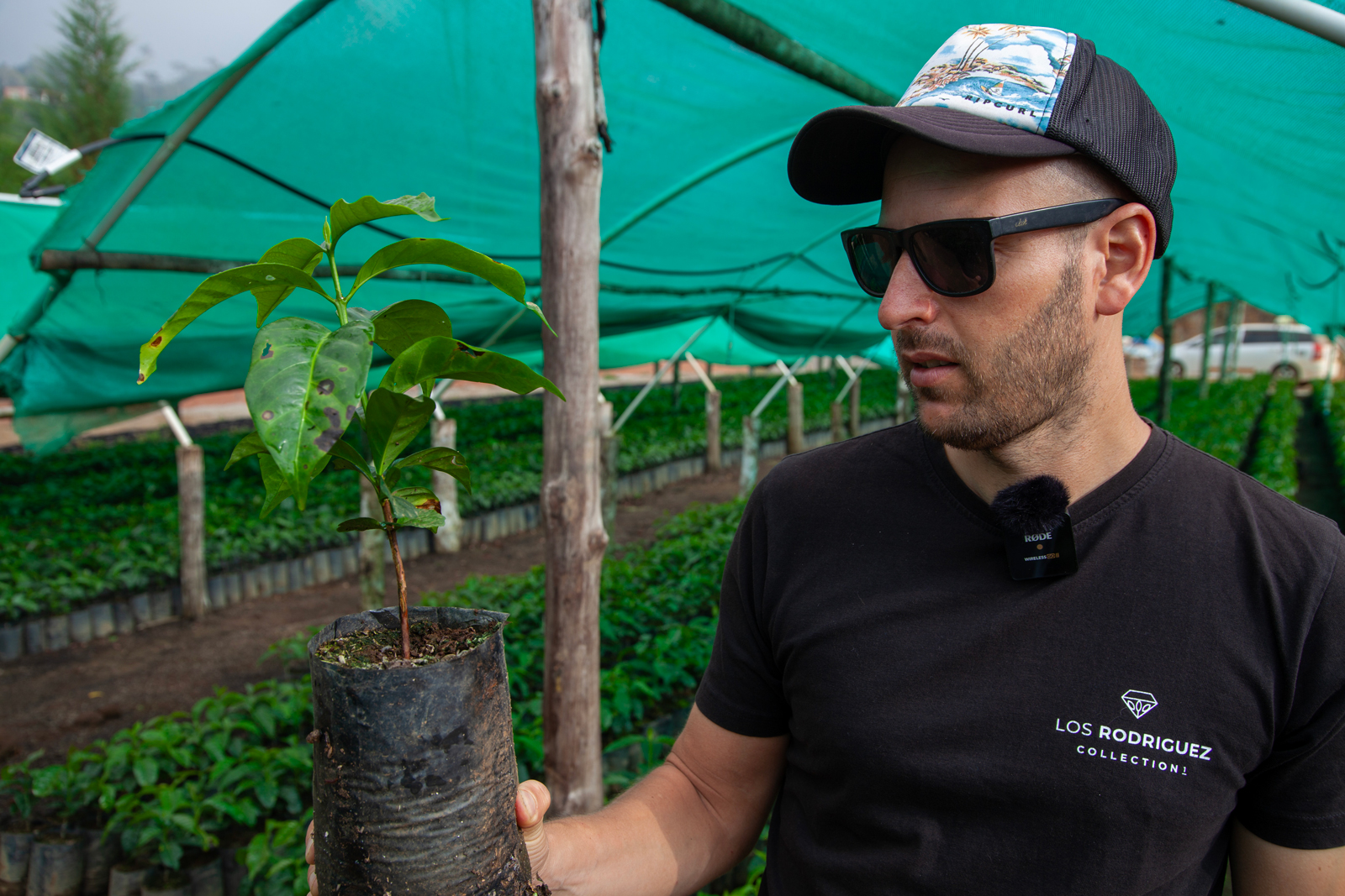 Sol de la Mañana | Melbourne Coffee Merchants