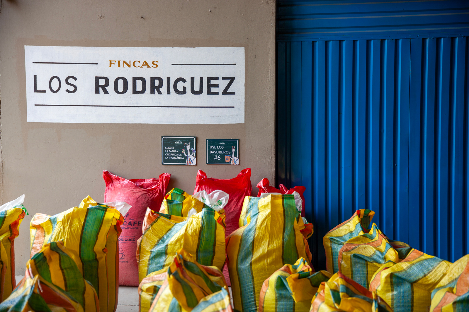 Meet Pedro Rodríguez | Melbourne Coffee Merchants