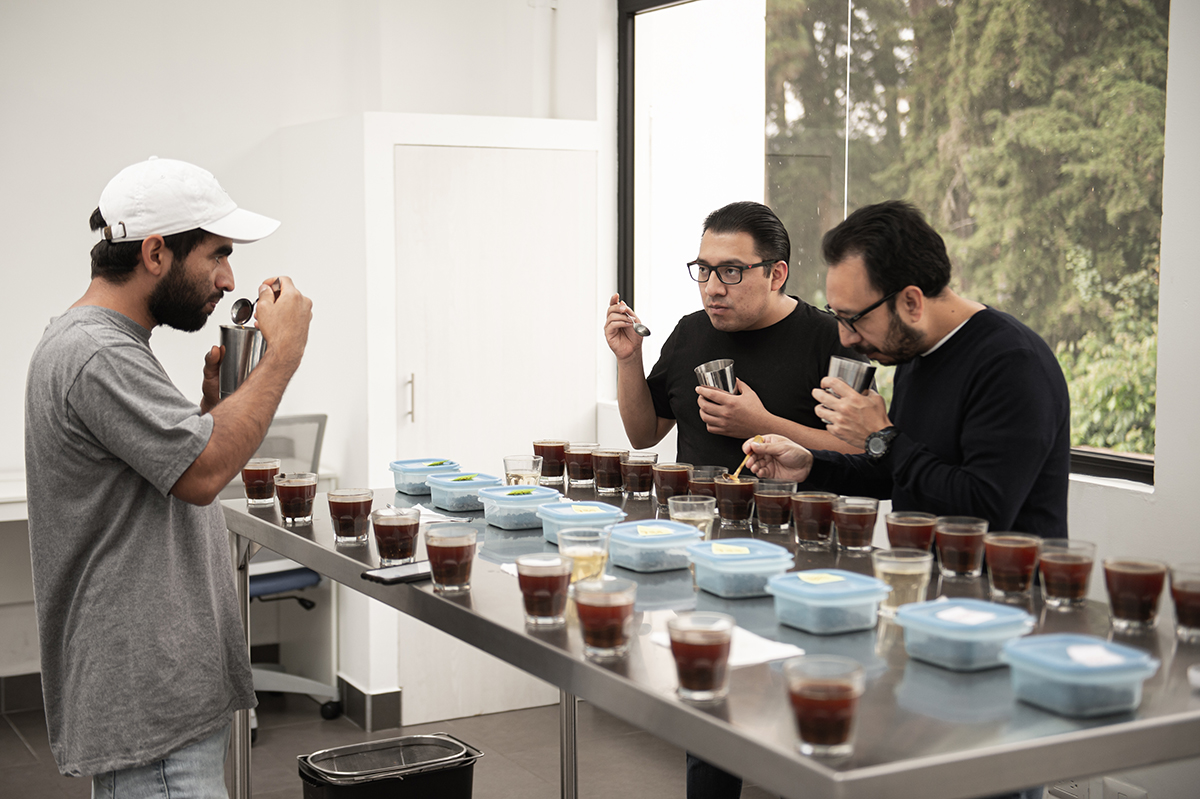 Meet Prisma Coffee | Melbourne Coffee Merchants