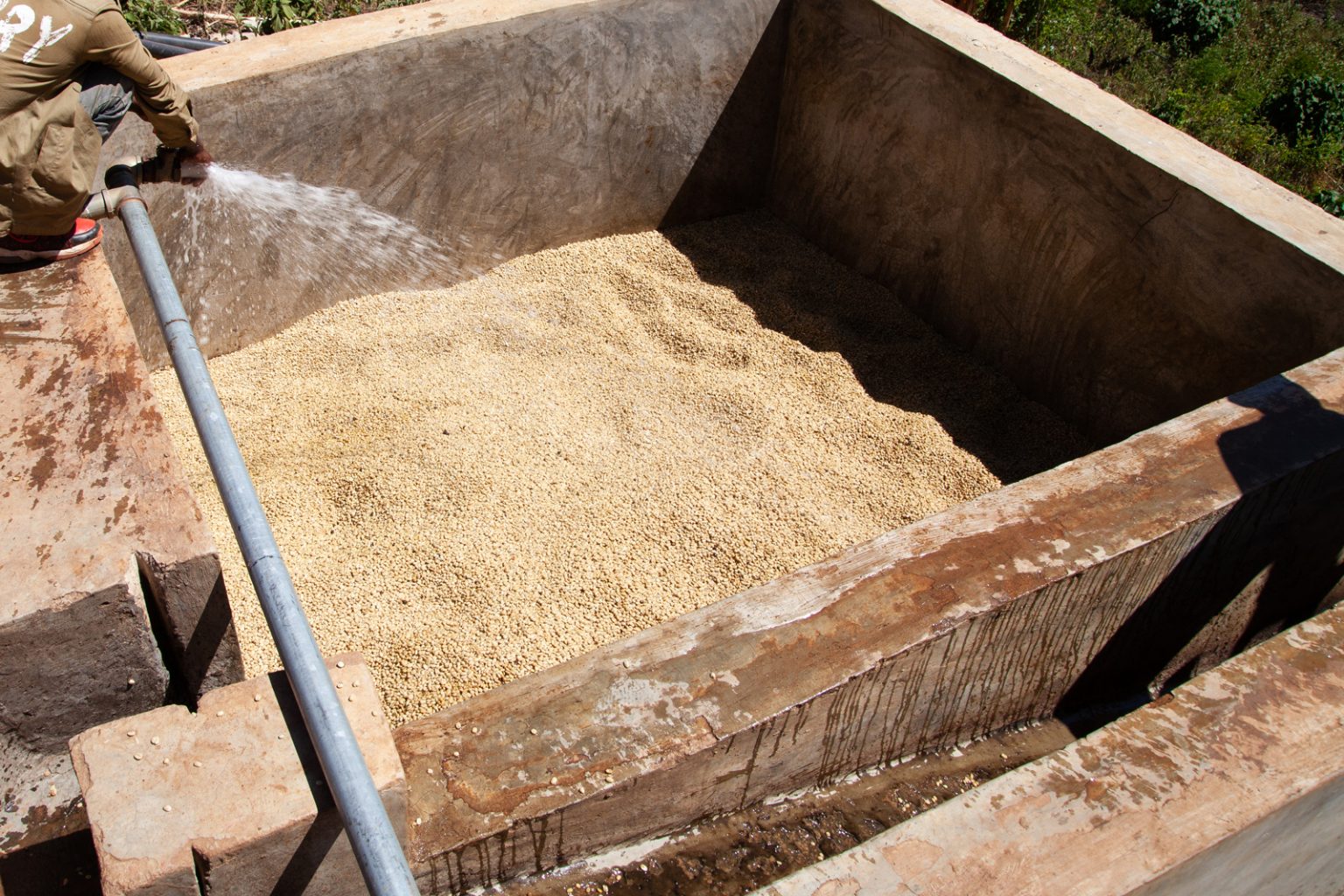 Spotlight on: Testi Specialty Coffee | Melbourne Coffee Merchants