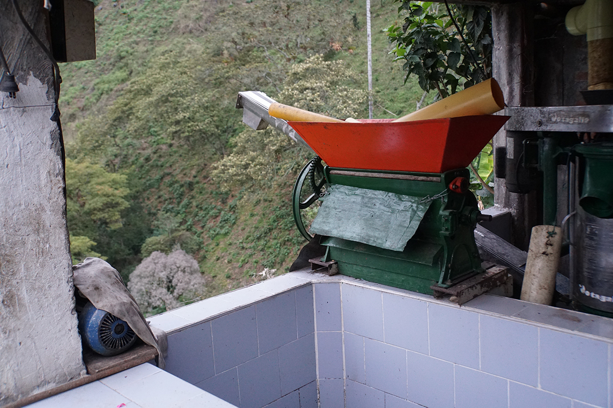 Canta Ranas | Melbourne Coffee Merchants