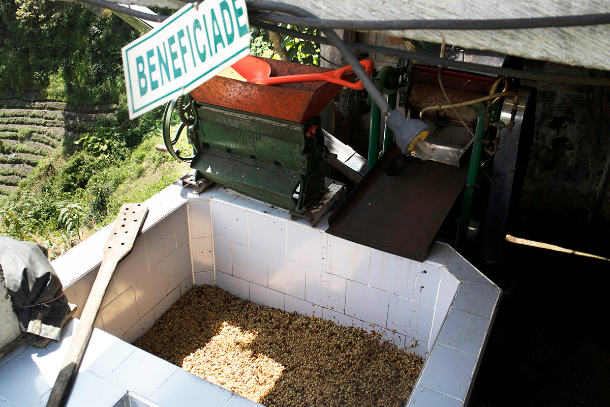 El Diamante | Melbourne Coffee Merchants