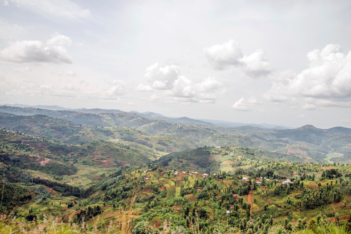 Our Latest Filter Picks | Melbourne Coffee Merchants