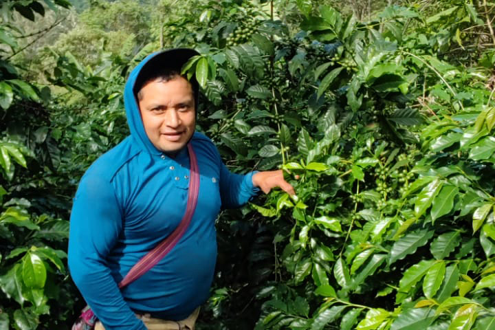 Guacamaya | Melbourne Coffee Merchants