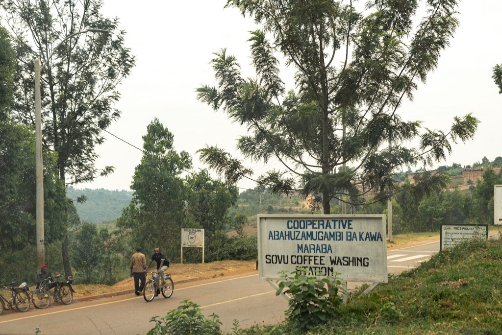 Sovu Peaberry - Melbourne Coffee Merchants