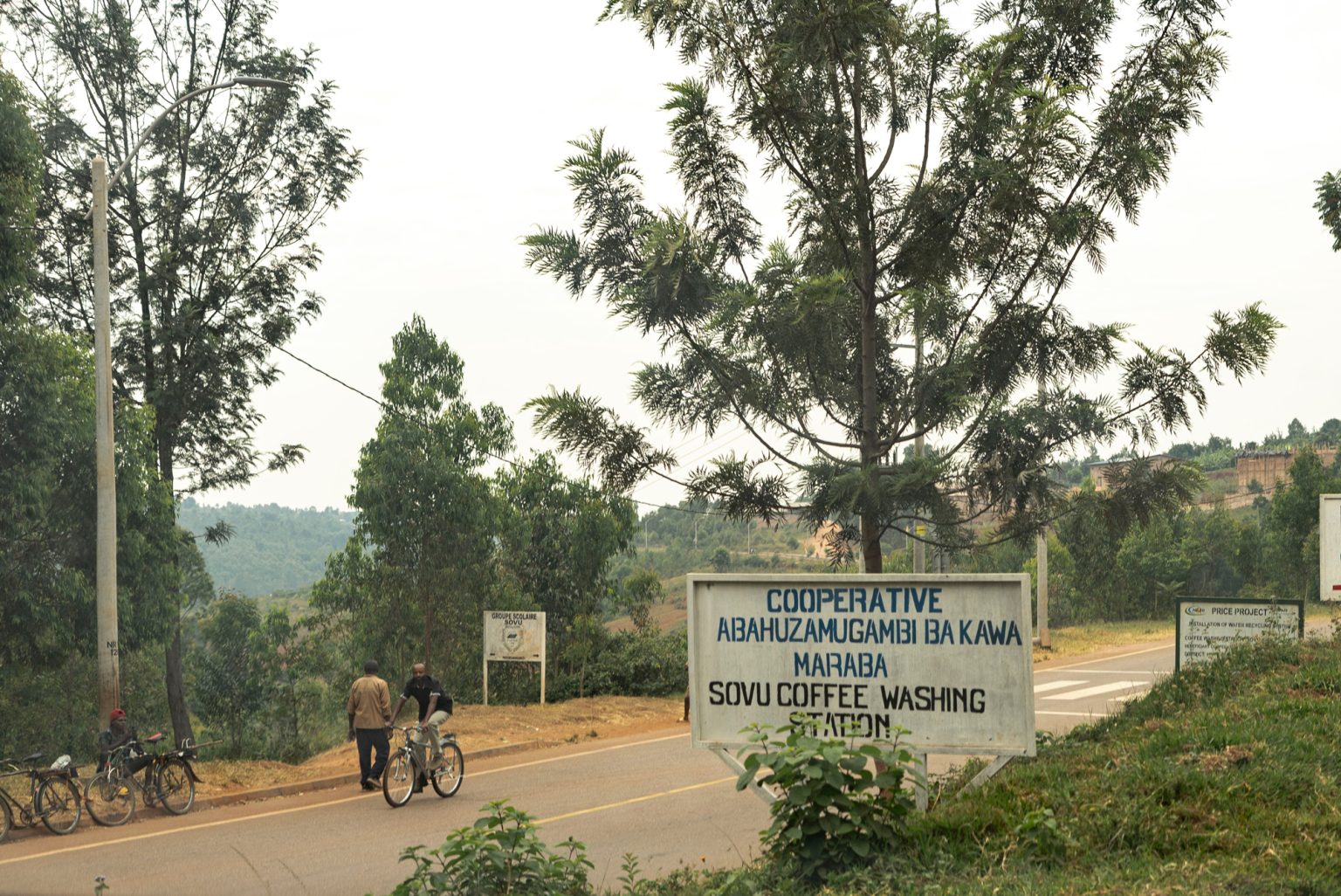 Sovu Peaberry - Melbourne Coffee Merchants