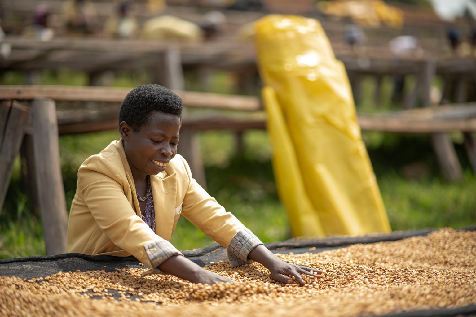 Ruli Natural | Melbourne Coffee Merchants