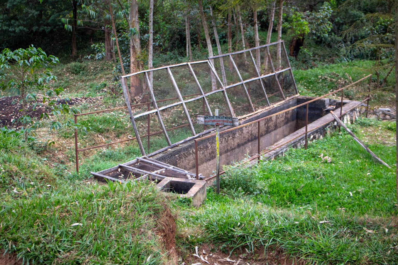 Sovu Women's Coffee | Melbourne Coffee Merchants