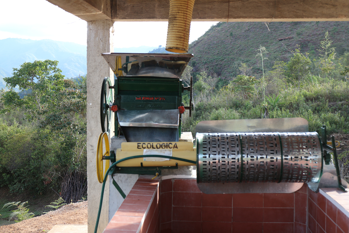 Small Producers of Aponte | Melbourne Coffee Merchants