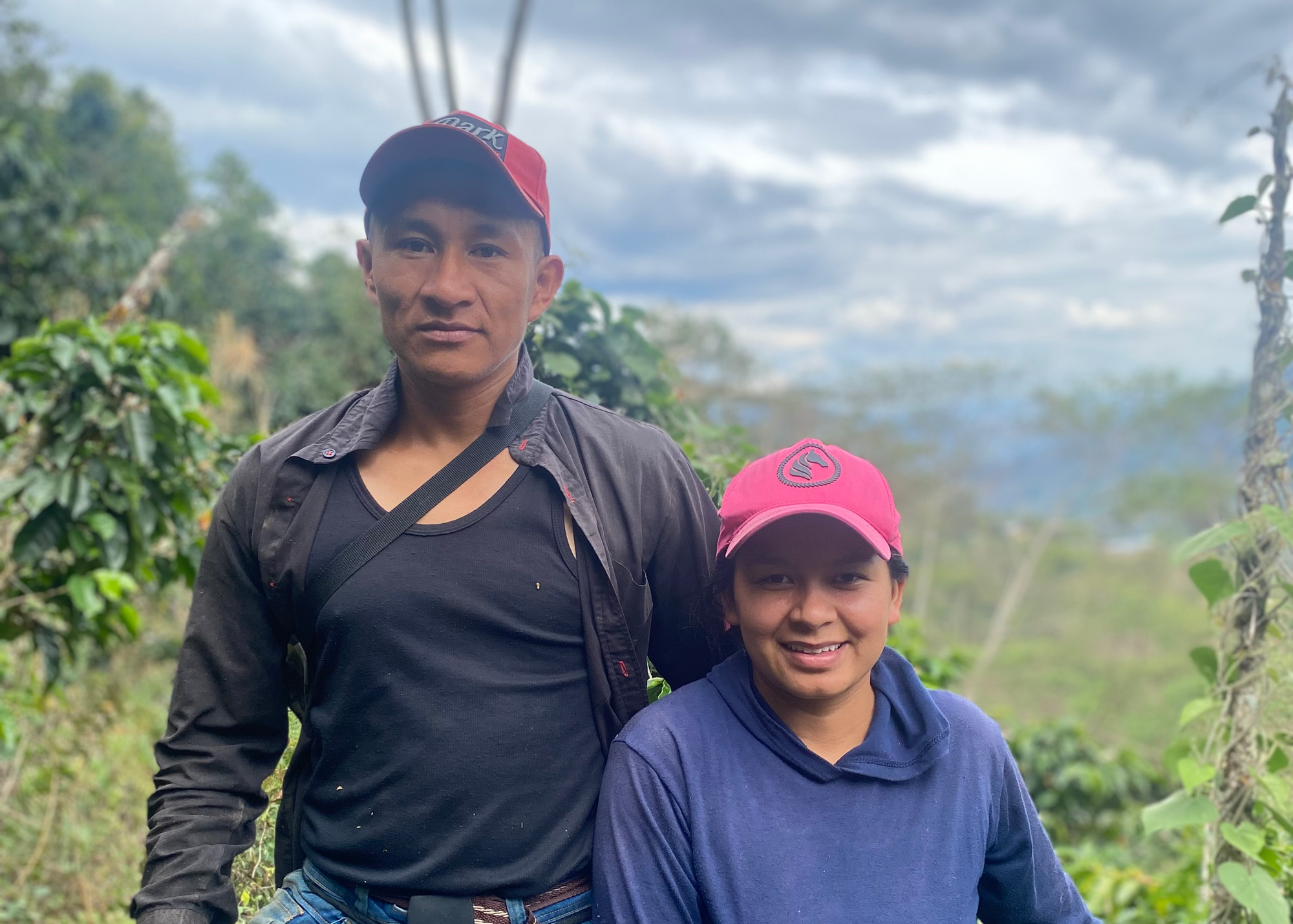 El Cedro | Melbourne Coffee Merchants