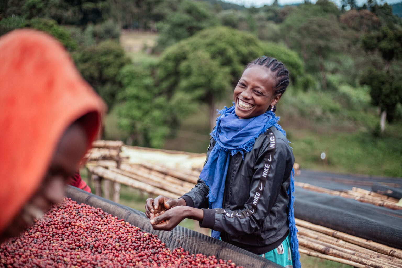 Melbourne Coffee Merchants – Importers of Fine Specialty Green Coffee ...