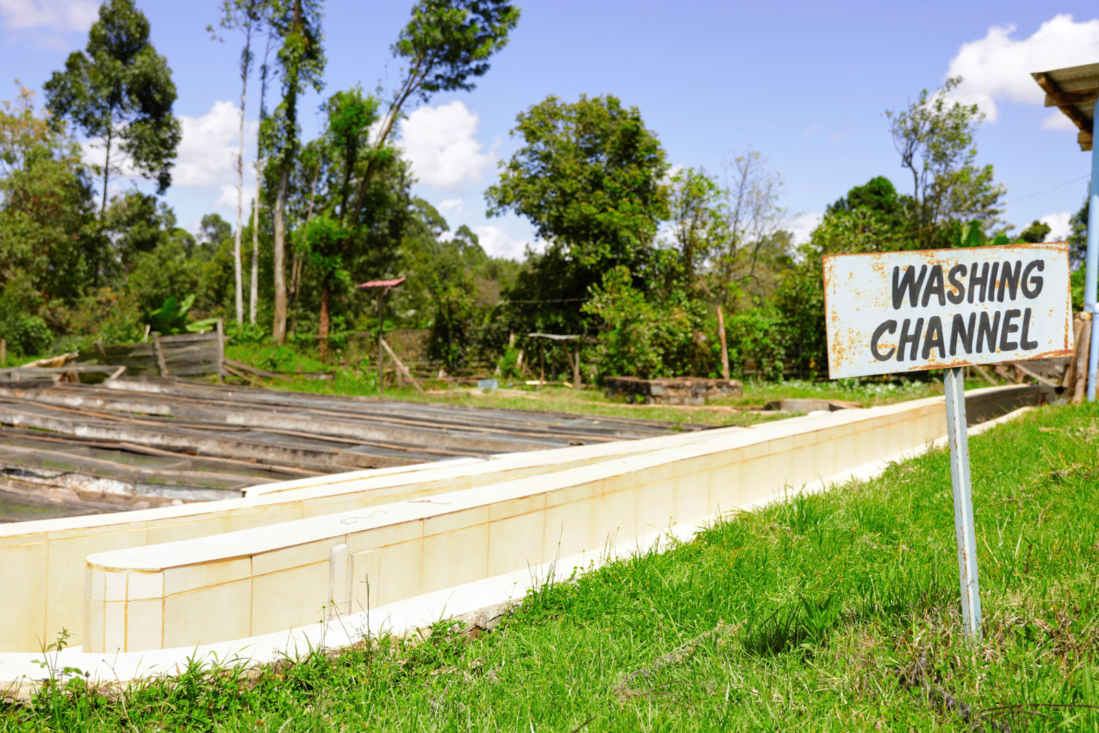 Rurima-Channels | Melbourne Coffee Merchants