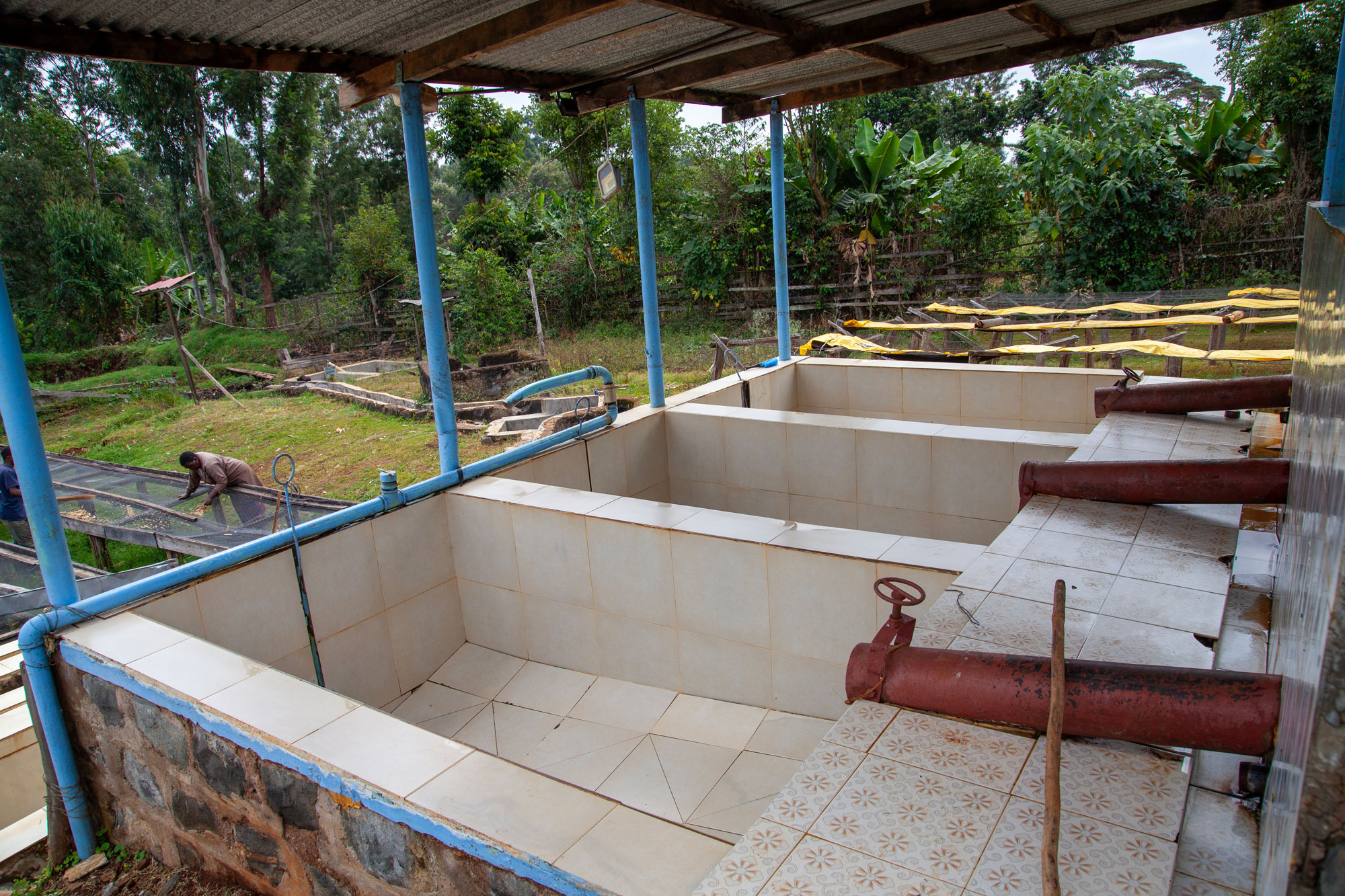 Rurima-Ferm-Tanks | Melbourne Coffee Merchants