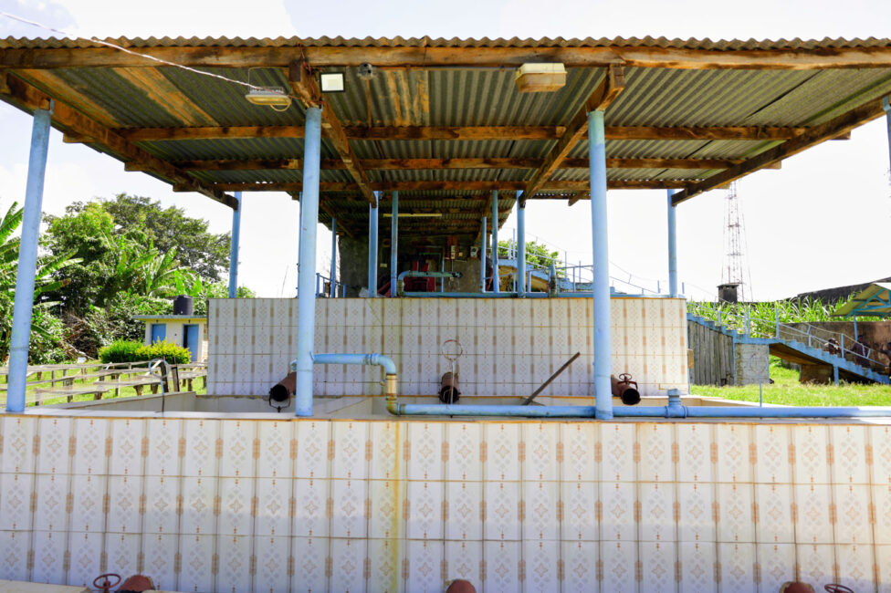 Rurima Estate AB | Melbourne Coffee Merchants