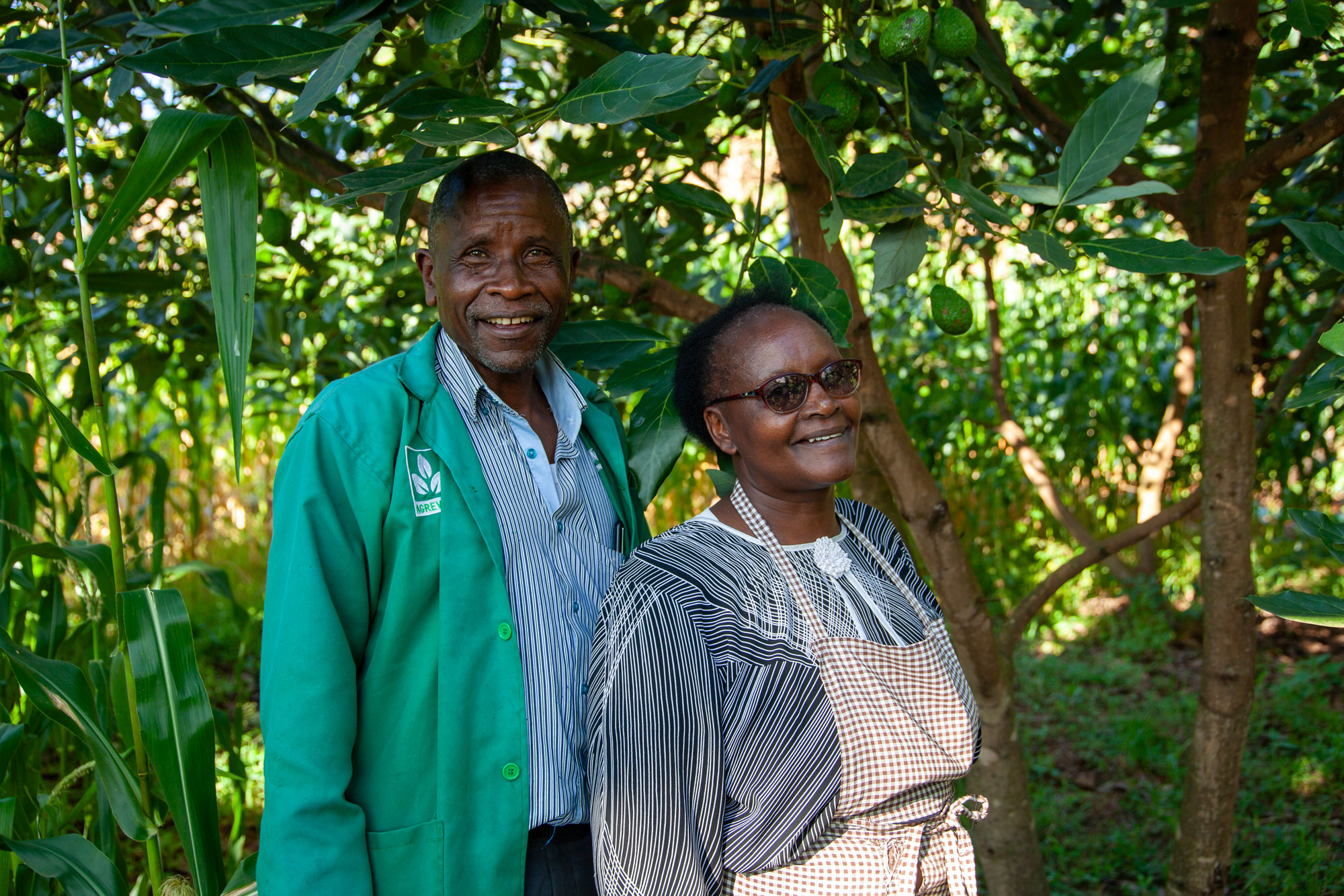 Kabumbu Estate Peaberry | Melbourne Coffee Merchants